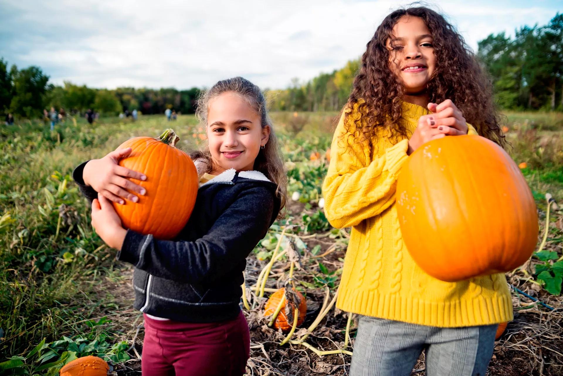 Celebrate fall with nutritious fruits and veggies - WellSpan Health